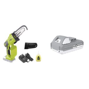 sun joe 24v cordless mini chainsaw bundle with premium oil and battery