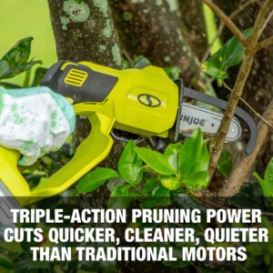 Sun Joe 24V Cordless Mini Chainsaw Bundle with Premium Oil and Battery