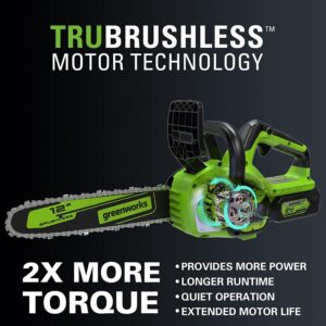 Greenworks 24V 12" Brushless Cordless Compact Chainsaw (Great For Storm Clean-Up, Pruning, and Firewood / 125+ Compatible Tools), 4.0Ah Battery and Charger Included