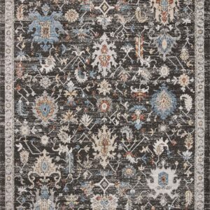 Loloi II Odette Collection ODT-04 Charcoal/Multi 5'-3" x 7'-9" Area Rug