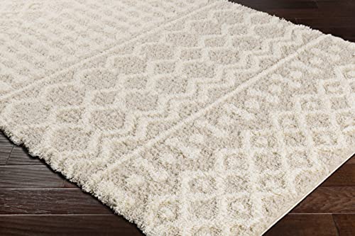 Livabliss Hapsburg Moroccan Shag Area Rug, 8'10" x 12', Beige