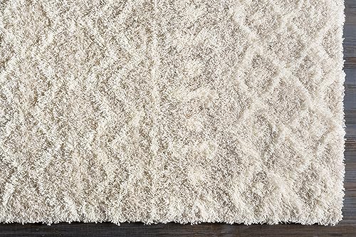 Livabliss Hapsburg Moroccan Shag Area Rug, 8'10" x 12', Beige