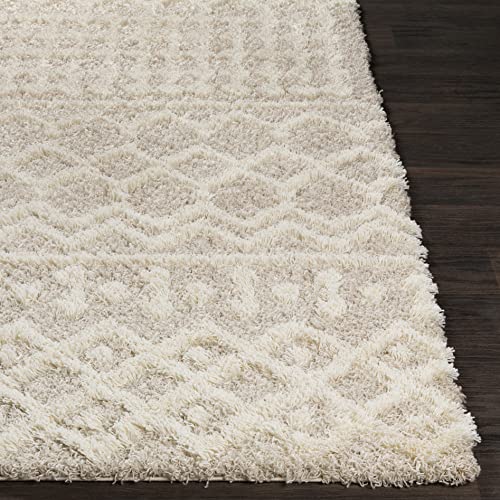 Livabliss Hapsburg Moroccan Shag Area Rug, 8'10" x 12', Beige