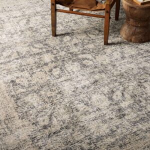 Loloi Amber Lewis x Alie Charcoal/Beige 9'-6" x 13'-1" Area Rug