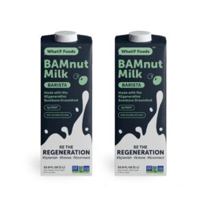 bamnut milk barista 2 pack | 2.5x more protein than oat & almond milk | extra creamy, gluten-free, prebiotic fiber, plant-based | 33.8 fl oz – by whatif foods