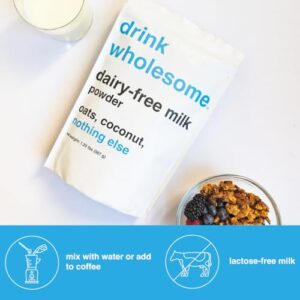 Drink Wholesome Dairy Free Milk Powder | Coffee Creamer Powder | For Sensitive Stomachs | Vegan | Lactose Free | No Gums | No Oils | Just 2 Ingredients | 1.07 lb