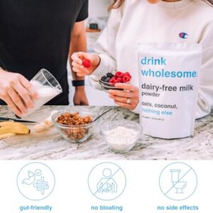 Drink Wholesome Dairy Free Milk Powder | Coffee Creamer Powder | For Sensitive Stomachs | Vegan | Lactose Free | No Gums | No Oils | Just 2 Ingredients | 1.07 lb