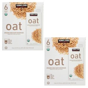 kirkland signature oat organic non-dairy beverage - made with rolled oats - 2g rolled oats in every serving - ready set gourmet donate a meal program - 2 pack (192 fl oz. each)