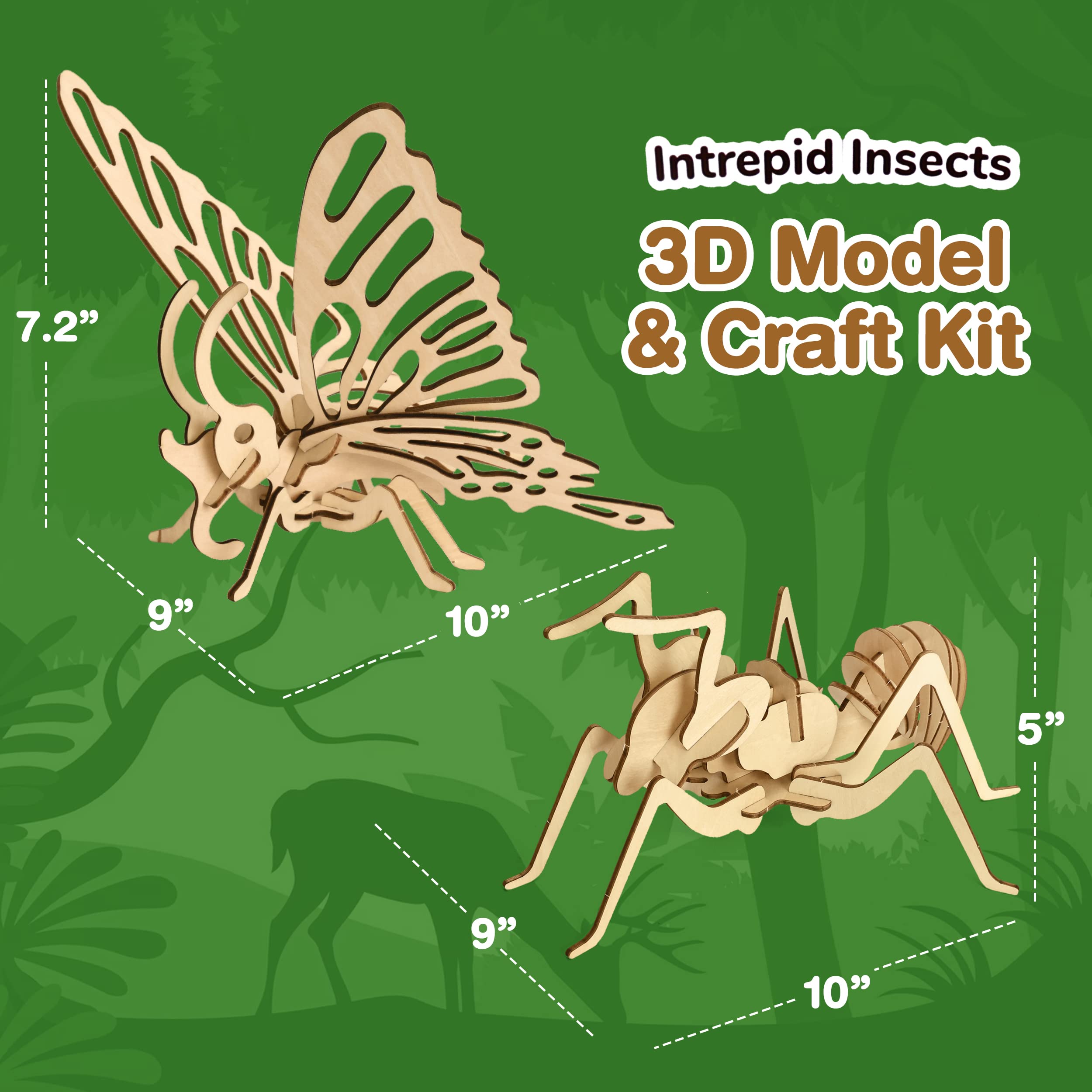 CoolToys Intrepid Insects Paint n' Play 3D Model and Craft Kit - Educational and Fun 3D Wooden Models Building and Painting Set for Kids Ages 6+ - Creative STEM Art Project for Boys and Girls