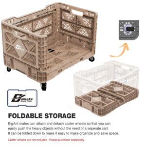 Bigant Heavy Duty Collapsible & Stackable Plastic Milk Crate-Medium Size, Tan, Stackable Open Front Organizer, Snap Lock Foldable Industrial Garage Storage Bin Container Utility Basket