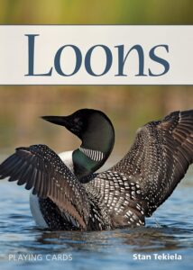 loons playing cards (nature's wild cards)