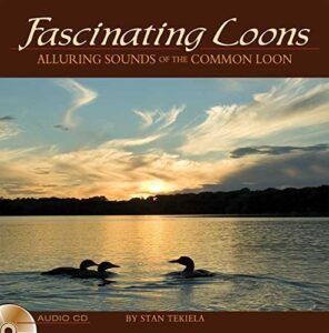 fascinating loons audio (wildlife appreciation)