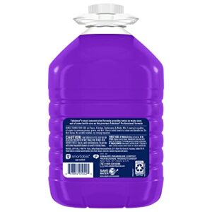 Fabuloso Professional All Purpose Cleaner & Degreaser - Lavender, 1 Gallon (Pack of 1)