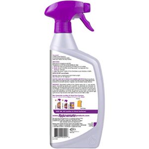 Rejuvenate Leather & Vinyl Cleaner – Rehydrate, Restore Luster and Protect All Leather & Vinyl Surfaces with No Greasy Residue