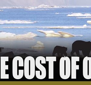 The Cost of Oil