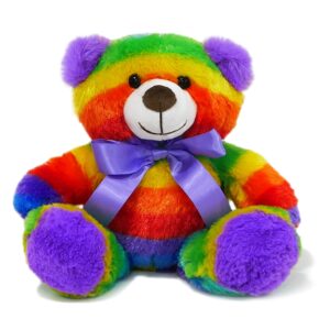 rainbow teddy bear for girls and boys plush stuffed animal cuddly soft cheer up gift 12 inch