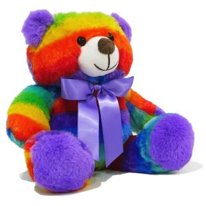 Rainbow Teddy Bear for Girls and Boys Plush Stuffed Animal Cuddly Soft Cheer up Gift 12 inch