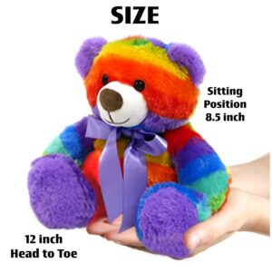 Rainbow Teddy Bear for Girls and Boys Plush Stuffed Animal Cuddly Soft Cheer up Gift 12 inch