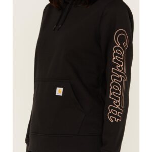 Carhartt Women's Rain Defender Relaxed Fit Midweight Graphic Sweatshirt, Black, Small