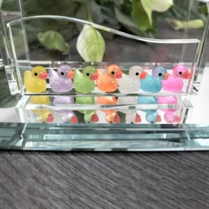 Cidinge 60 Pcs Mini Resin Ducks Luminous Tiny Ducks Miniature Duck Glow in The Dark for DIY Garden Dollhouse Duck Accessories Micro Landscape Aquarium Party Decor