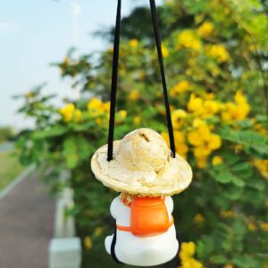 Qiwen Rear View Mirror Hanging Accessories of Swinging Duck Car Hanging Ornament Cute Car Accessories for Teens Men Women Car Mirror Hanging Accessories Truck Car Pendant Car Charm (Cool A)