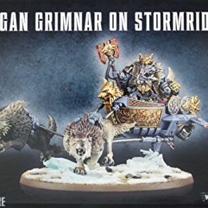 Games Workshop Warhammer 40K Logan Grimnar on Stormrider