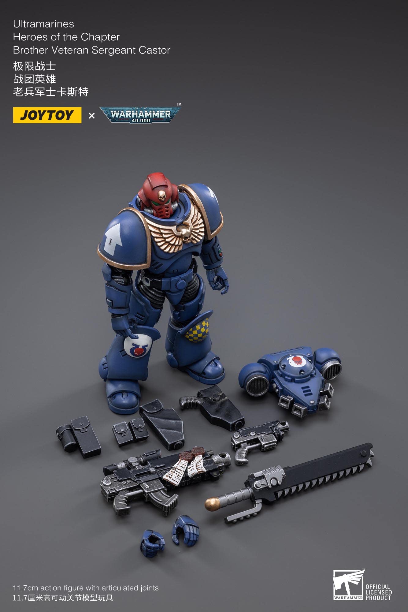 HUAXI DARK SOURCE(HAINAN)TECH Joy Toy Warhammer Brother Vet SGT Castor 1/18 FIG