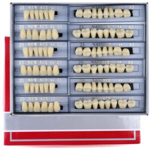 168 pieces false teeth dental complete acrylic resin denture teeth, 6 sets whole teeth synthetic polymer denture tooth, 23 shade a3 upper + lower dental materials for replacement, diy, or halloween