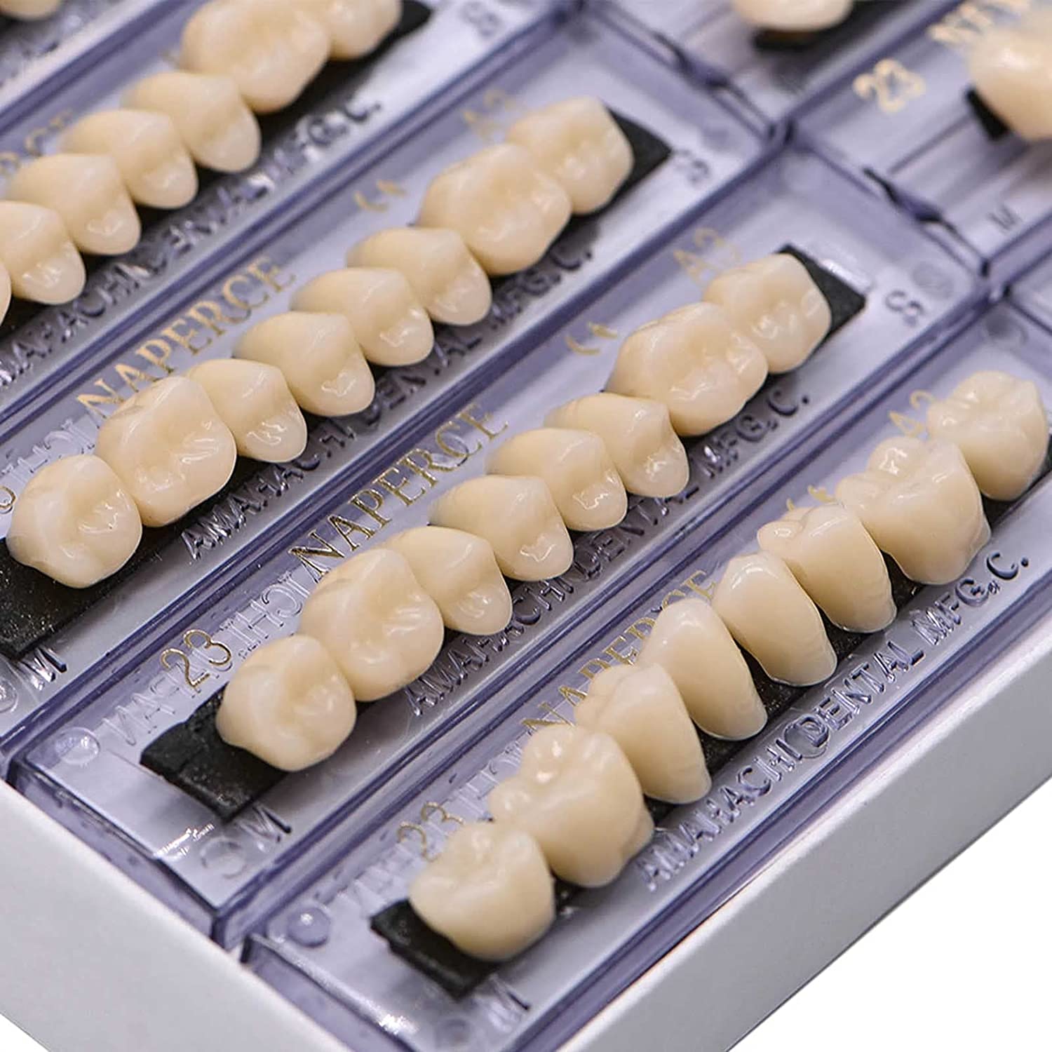 RZJZGZ Synthetic Resin Tooth Denture False Teeth for Halloween Horror Teeth 23 A3(56 Pcs/2Set)