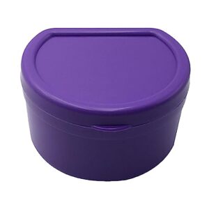 npkgvia plastic container case denture bath box mouthguards storage sprayer bottles small travel (purple, one size)