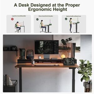 BANTI 55" × 26" Electric Standing Desk with Monitor Stand, Height Adjustable Table with LED Strips, Ergonomic Home Office Furniture with 2 Drawers Storage, Black Walnut Top