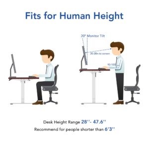 FLEXISPOT EN1 Electric Stand Up Desk Workstation 48 x 30 Inch Whole-Piece Desktop Ergonomic Memory Controller Standing Desk Height Adjustable Desk(Gray Frame + 48" White Top, 2 Packages)