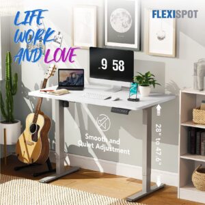 FLEXISPOT EN1 Electric Stand Up Desk Workstation 48 x 30 Inch Whole-Piece Desktop Ergonomic Memory Controller Standing Desk Height Adjustable Desk(Gray Frame + 48" White Top, 2 Packages)