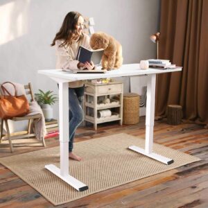 FLEXISPOT DIY Height Adjustable Standing Desk Frame Electric Sit Stand Desk Base, Home Office Stand up Desk Leg (White Frame Only)