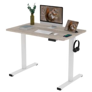 sanodesk standing desk adjustable height, 48x24 inch electric standing desk with headphone hook, stand up desk for home office computer desk，handset with 4 memory presets and charging ports