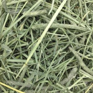 Oxbow Animal Health Western Timothy Hay - All Natural Hay for Rabbits, Guinea Pigs, Chinchillas, Hamsters & Gerbils -Veterinarian Recommended- Grown in the USA-90 oz.