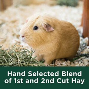 Kaytee All Natural Timothy Hay for Guinea Pigs, Rabbits & Other Small Animals, 1.5 Pound