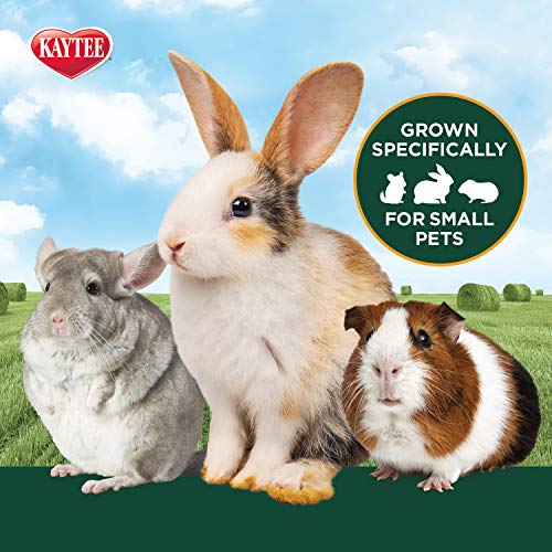 Kaytee All Natural Timothy Hay for Guinea Pigs, Rabbits & Other Small Animals, 1.5 Pound