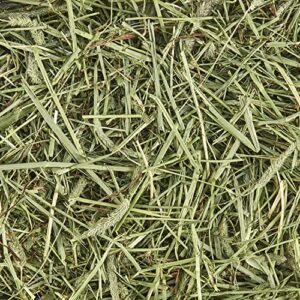 Kaytee All Natural Timothy Hay for Guinea Pigs, Rabbits & Other Small Animals, 1.5 Pound