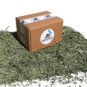 High Desert Alfalfa Hay - Dried Natural Alfalfa Hay for Rabbits, Guinea Pigs, Chinchillas, and Ferrets - Protein and Fiber Rich Food for Small Animals - Healthy Pet Food