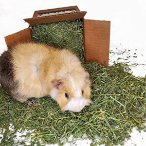 High Desert Alfalfa Hay - Dried Natural Alfalfa Hay for Rabbits, Guinea Pigs, Chinchillas, and Ferrets - Protein and Fiber Rich Food for Small Animals - Healthy Pet Food