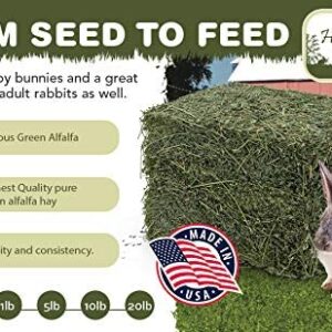 High Desert Alfalfa Hay - Dried Natural Alfalfa Hay for Rabbits, Guinea Pigs, Chinchillas, and Ferrets - Protein and Fiber Rich Food for Small Animals - Healthy Pet Food