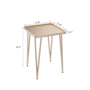 Palama Square Side Table, Small Side Table for Small Spaces, Small Metal End Table, Easy Assembly Champagne Gold Bedside Table, Small Table Outoor, Single Plant Stand Indoor