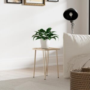 Palama Square Side Table, Small Side Table for Small Spaces, Small Metal End Table, Easy Assembly Champagne Gold Bedside Table, Small Table Outoor, Single Plant Stand Indoor