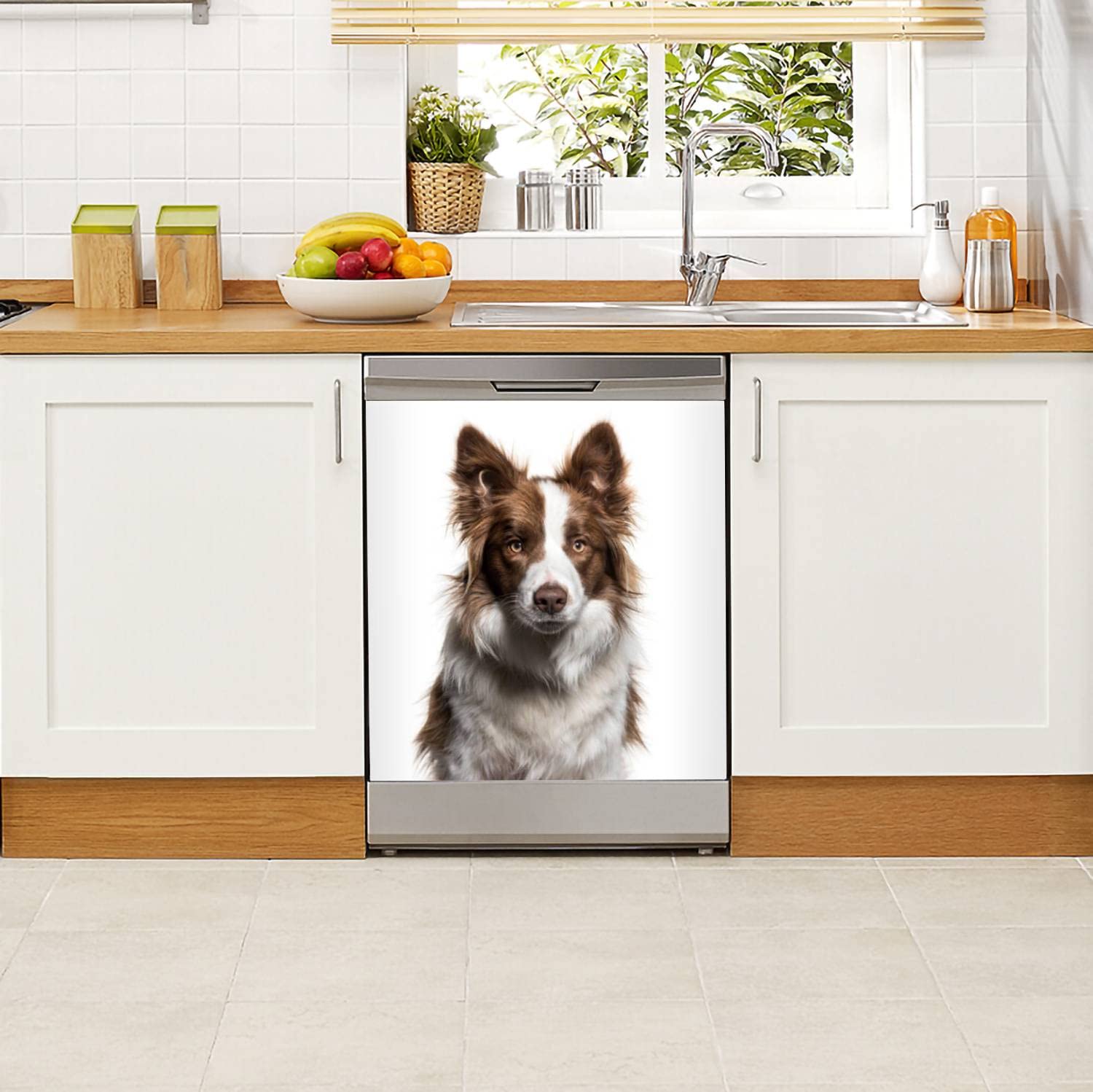 Dishwasher Magnet Sticker Border Collie 1 Year Old Portrait Against White Magnetic Refrigerator Sticker Appliance Covers Home Kitchen Decor for Fridge Metal Door Garage 23x26in