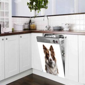 Dishwasher Magnet Sticker Border Collie 1 Year Old Portrait Against White Magnetic Refrigerator Sticker Appliance Covers Home Kitchen Decor for Fridge Metal Door Garage 23x26in