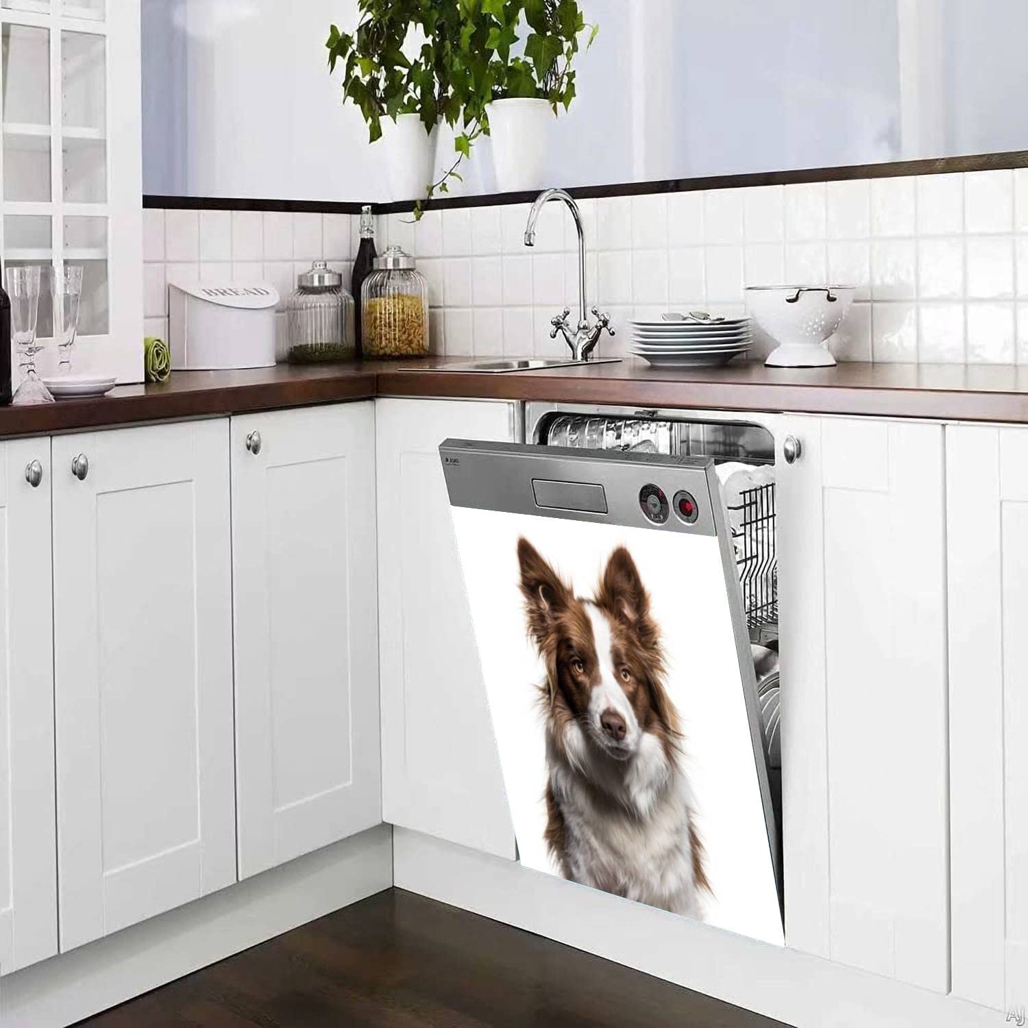 Dishwasher Magnet Sticker Border Collie 1 Year Old Portrait Against White Magnetic Refrigerator Sticker Appliance Covers Home Kitchen Decor for Fridge Metal Door Garage 23x26in