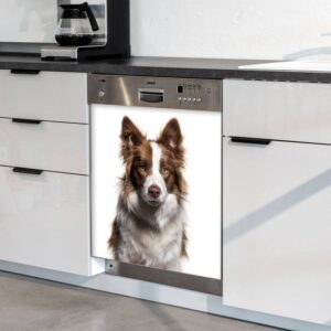 Dishwasher Magnet Sticker Border Collie 1 Year Old Portrait Against White Magnetic Refrigerator Sticker Appliance Covers Home Kitchen Decor for Fridge Metal Door Garage 23x26in