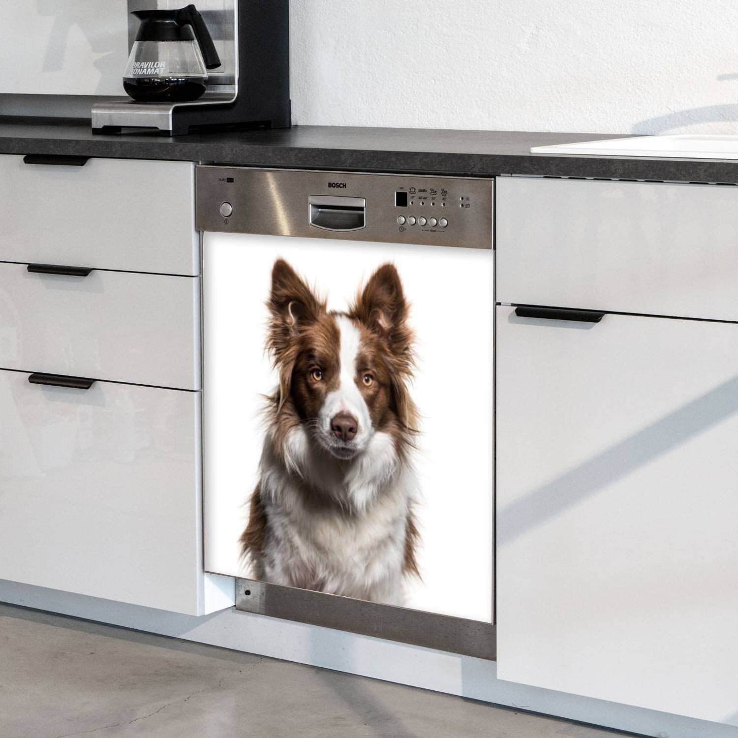 Dishwasher Magnet Sticker Border Collie 1 Year Old Portrait Against White Magnetic Refrigerator Sticker Appliance Covers Home Kitchen Decor for Fridge Metal Door Garage 23x26in