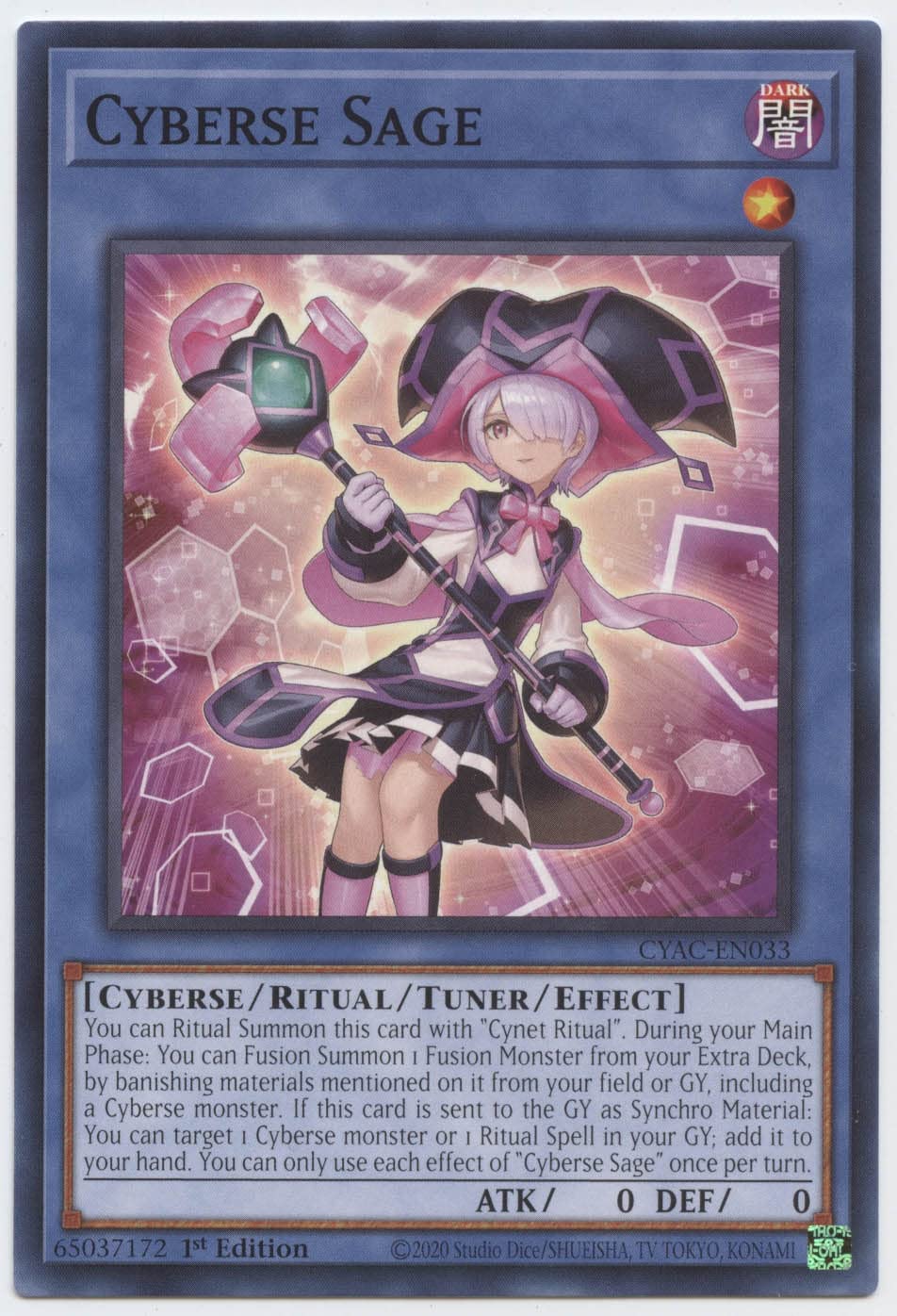 Cyberse Sage - CYAC-EN033 - Common - 1st Edition